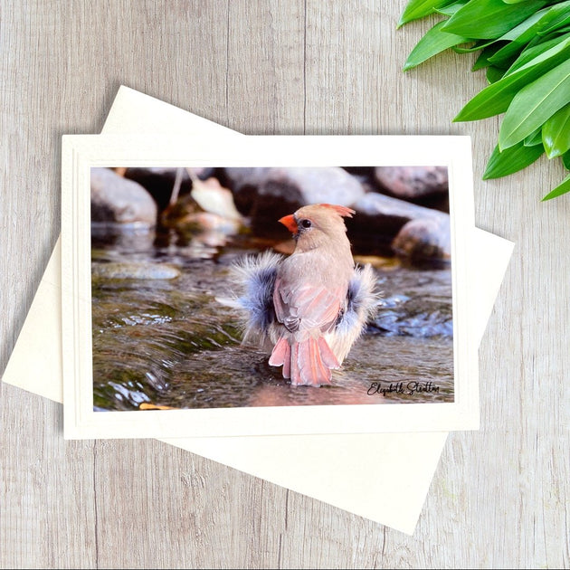 Elizabeth Stratton Nature Photography – The Gratitude Shoppe