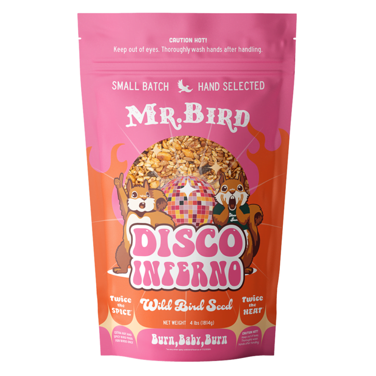 Mr. Bird ~ Disco Inferno ~ Small Batch Wild Bird Seed Infused w/ Hot P ...